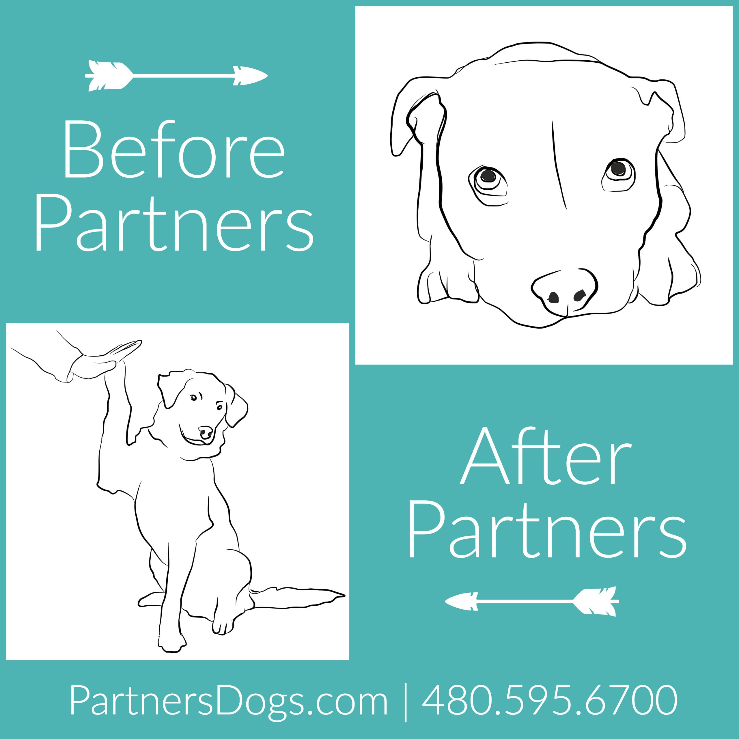 How Do You Know When A Dog Is Insecure